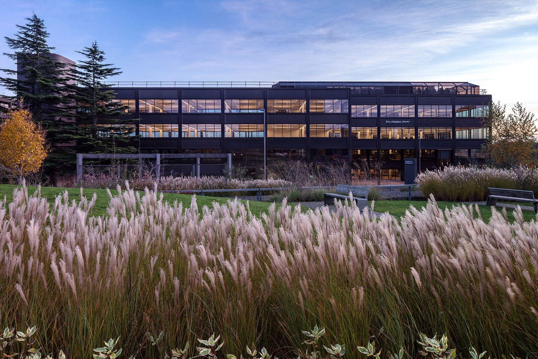 AA Headquarters, Plant - Twelve Architects and Masterplanners